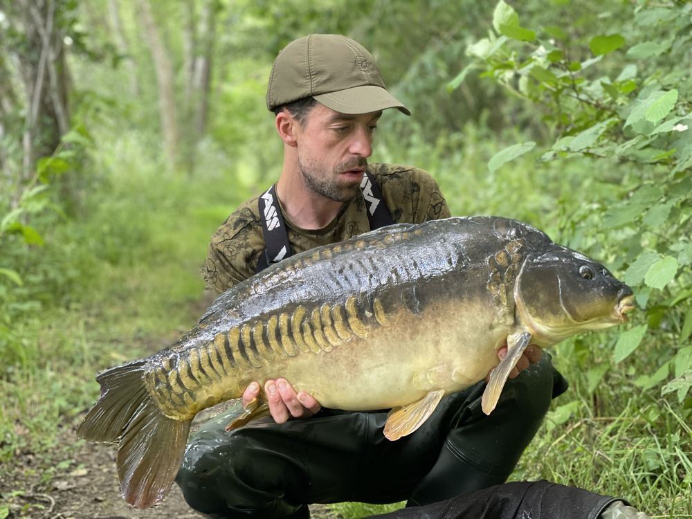 Carp Bait and Boilies by Mainline Baits