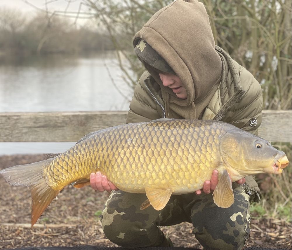 Carp Bait and Boilies by Mainline Baits