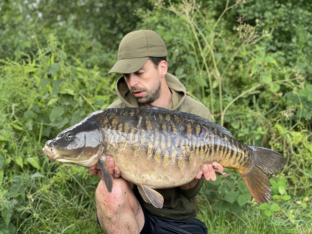 Carp Bait and Boilies by Mainline Baits